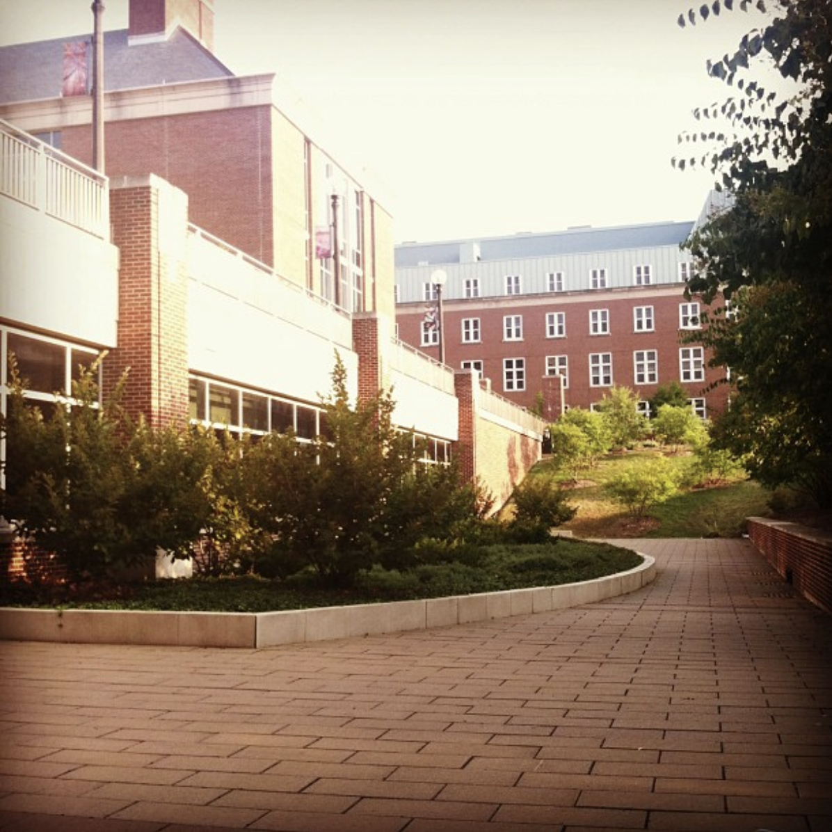 The first rotation is the hardest – MD, PhD To Be